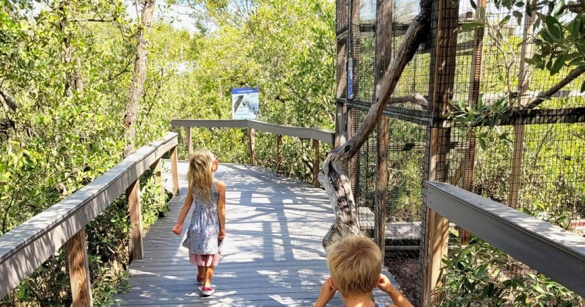 Key Largo/Islamorada: Upper Keys History & Ecology Tour | GetYourGuide