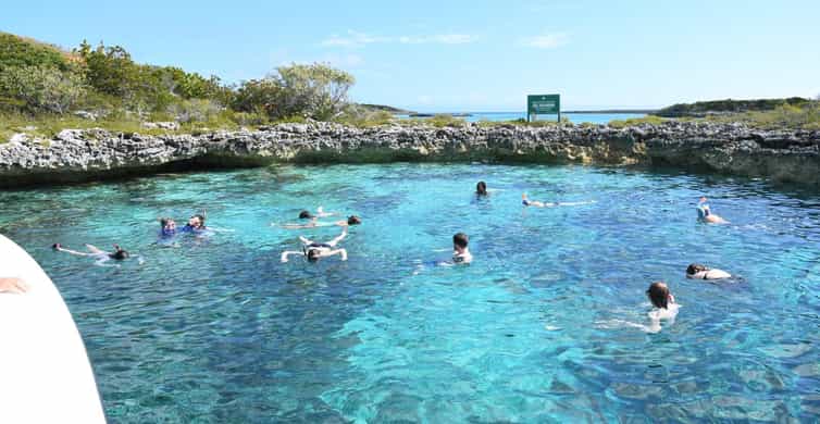 Compass Cay, the Bahamas, Exuma - Book Tickets & Tours | GetYourGuide