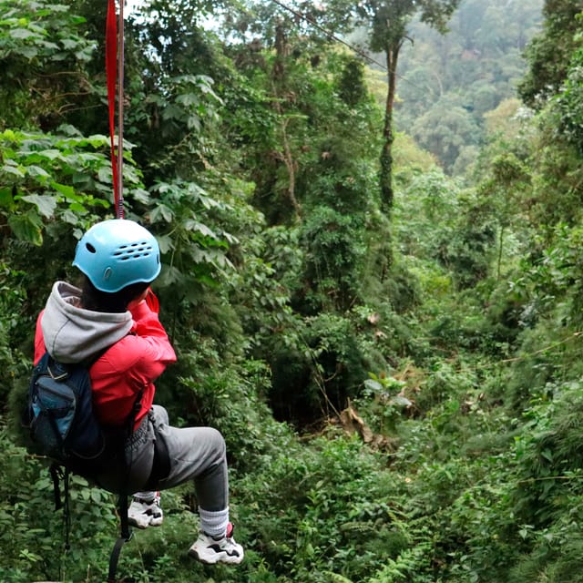 Excursión al Bosque Nublado de Chicaque | GetYourGuide