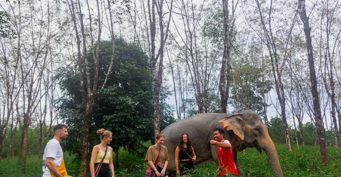 Procházka s průvodcem a zážitek se slony na ostrově Khao Lak | GetYourGuide