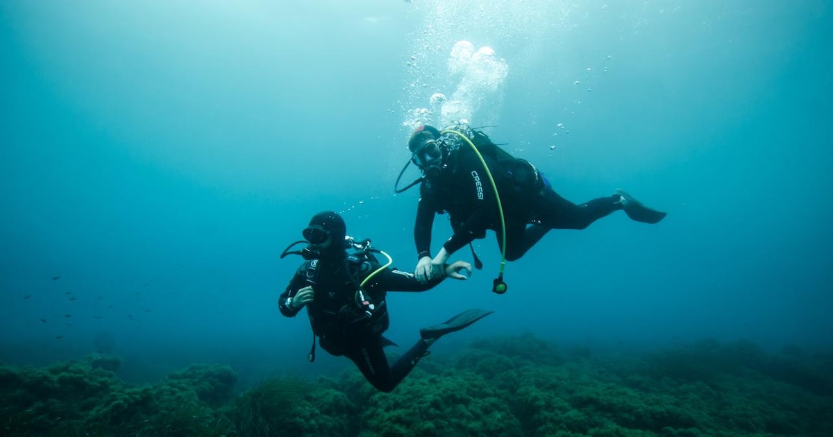 French Riviera: Scuba Diving and Freediving Experience | GetYourGuide