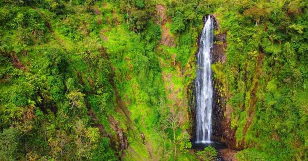 Arusha: Excursión de un día a las cataratas del Monte Meru con almuerzo ...