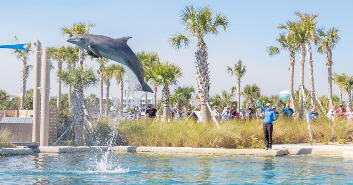 Destin: Gulfarium Marine Adventure Park Entry Ticket | GetYourGuide
