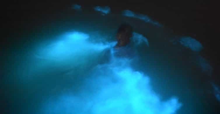 From Montego Bay: Luminous Lagoon Night Tour | GetYourGuide
