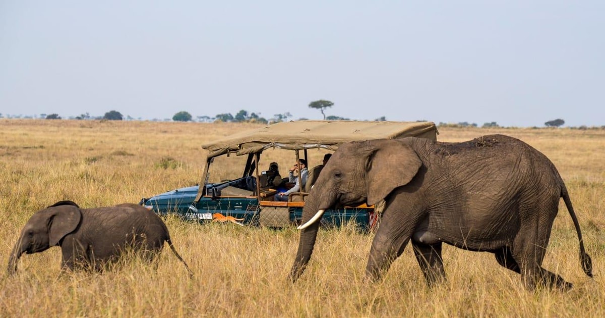 Kenia: 6 Tage Spirit of Kenya Tented Tour | GetYourGuide