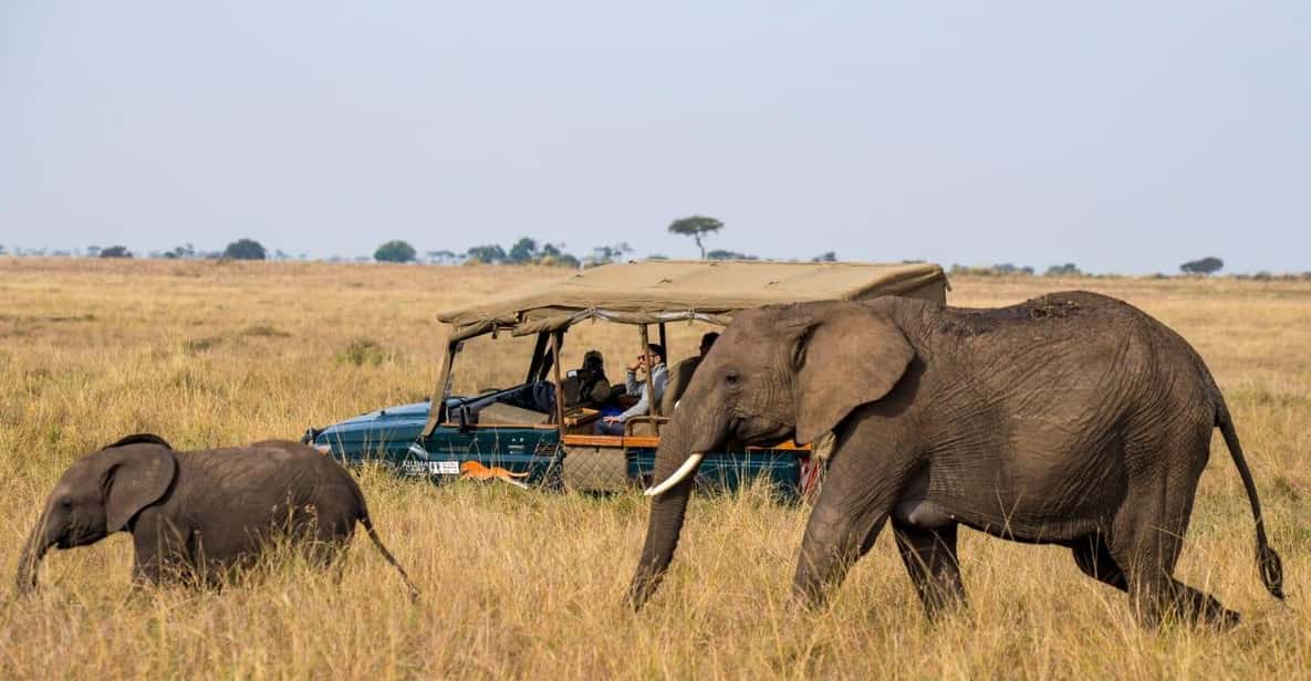 Kenya: 6 Days Spirit of Kenya Tented tour | GetYourGuide