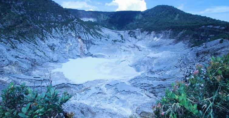 Bandung Tour : Volcano, Coffee Fields, Hot Springs Water | GetYourGuide