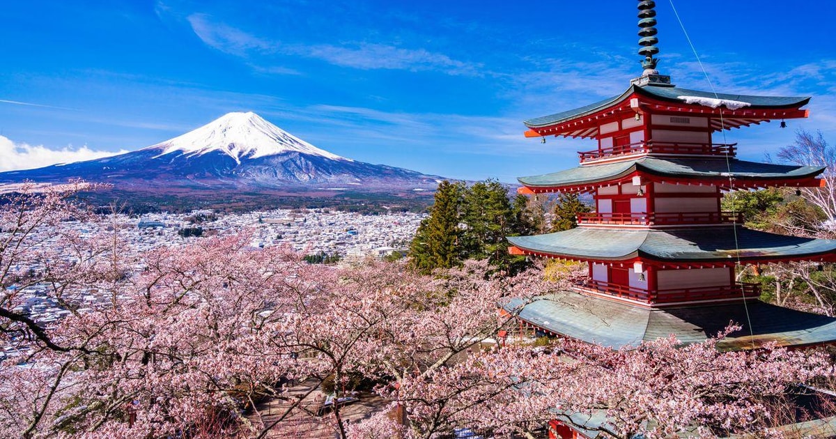Excursión de 1 día al Monte Fuji: la excursión fotográfica más caliente | GetYourGuide
