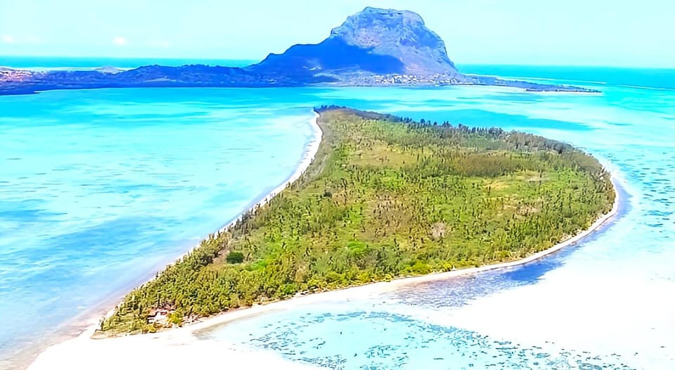 Île aux Bénitiers: Catamaran Tour with Dolphin Watch & Lunch | GetYourGuide