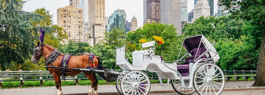 NYC Fancy Rides | GetYourGuide Supplier