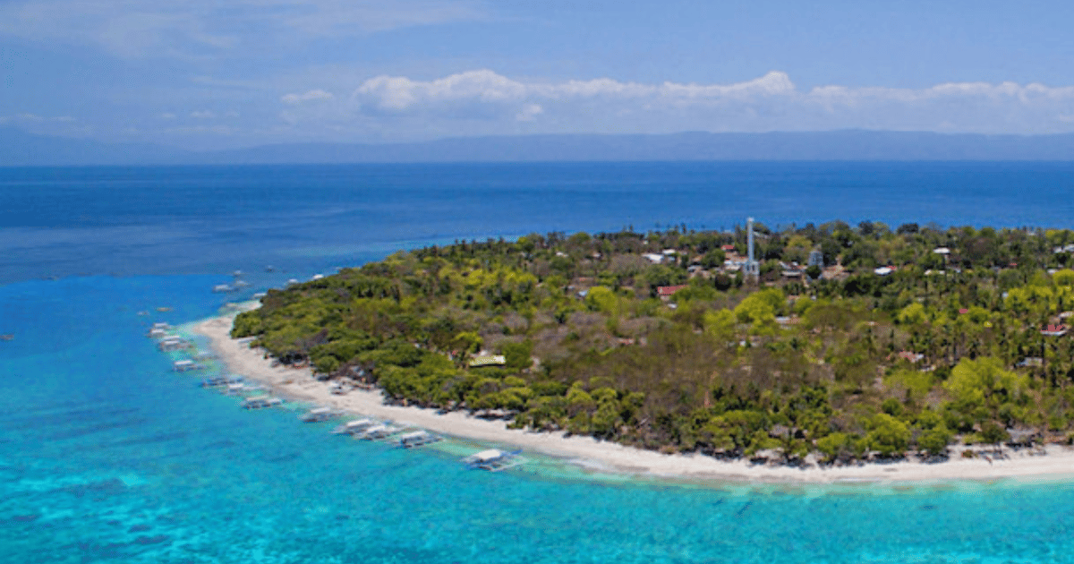 Bohol: Dolphin Watching, Balicasag Island Hopping Tour | GetYourGuide