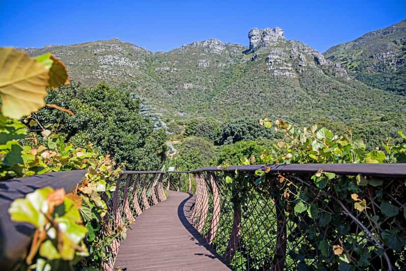 Città del Capo: Tour della Table Mountain, Kirstenbosch e Constantia ...