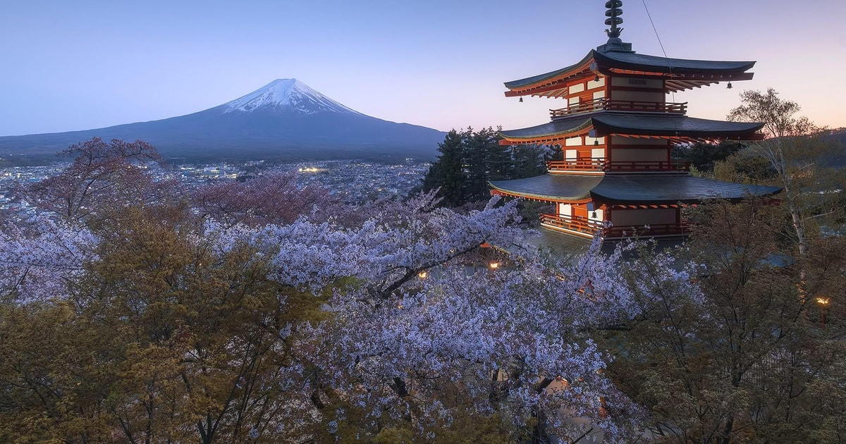 Von Tokio: Private Tagestour zum Fuji | GetYourGuide