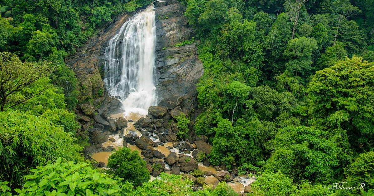 PASAR LA NOCHE EN MUNNAR DESDE KOCHI | GetYourGuide