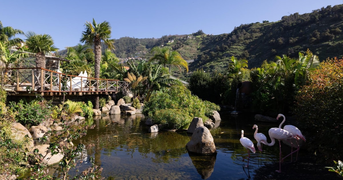 Visit to Madeira Bird Island | GetYourGuide