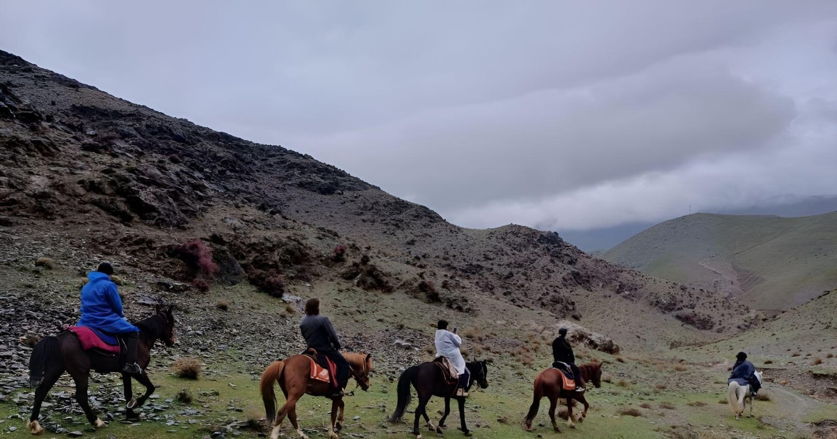 Vanuit het dorp Uhum Hayat: paardrijtocht | GetYourGuide