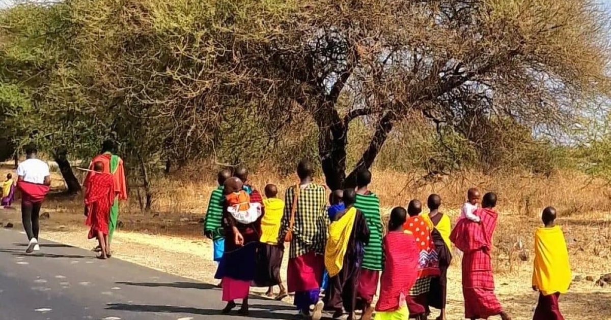 Arusha: Excursión de un día a la cultura Maasai Boma | GetYourGuide