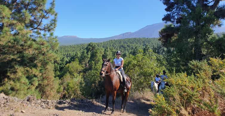 The BEST Cruz del Camino Tours and Things to Do in 2024 - FREE ...