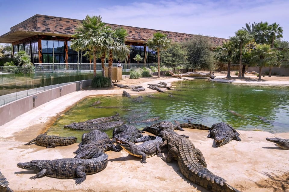 Dubai: Dubai Crocodile Park Entry Ticket | GetYourGuide