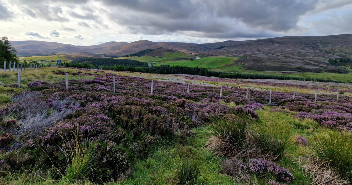 Highlands of Inverness & Moray Coast Experience - Two days | GetYourGuide