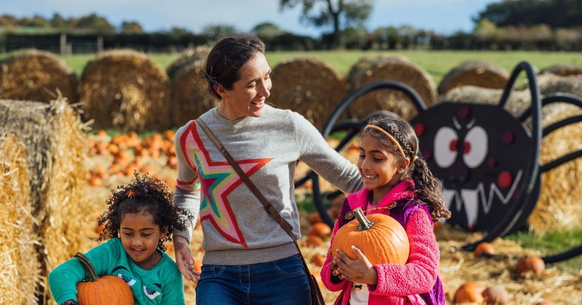 London: Pumpkin Patch | GetYourGuide