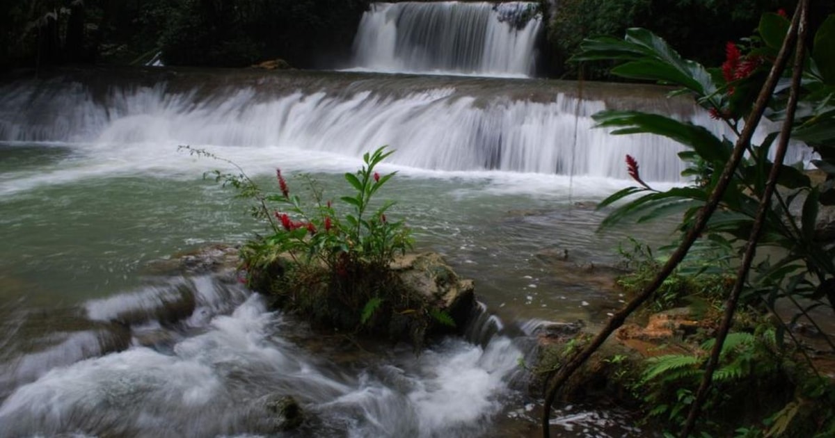 Montego Bay/Negril: Appleton Rum Experience & YS Falls Climb | GetYourGuide