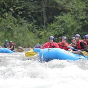 Rafting Reventazón II&III in Puerto Viejo | GetYourGuide