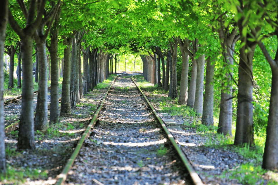 Seoul: Samaksan Cable Car & Nami with Alpaca World/Railbike | GetYourGuide