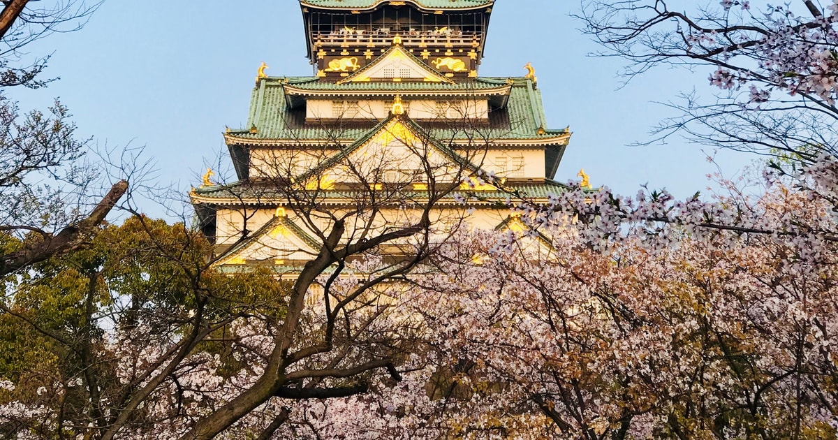 Osakan parhaat: Kirsikankukka, linna ja kulttuuri yhdellä retkellä ...