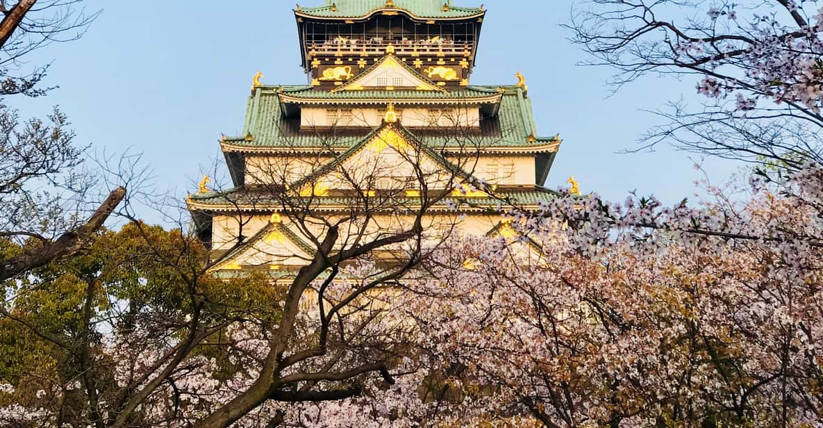 【Same-day OK】Osaka: Cherry Blossoms, Castle, & Culture Tour | GetYourGuide