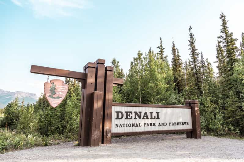 Denali: Denali National Park Walking Tour | GetYourGuide