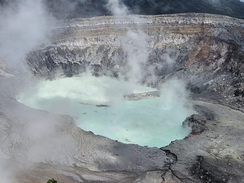Doka Coffee Tour + Poas Volcano | GetYourGuide