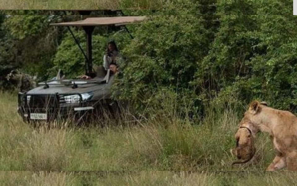 Akagera N. Park Boat ride & Game Drive Day-Trip | GetYourGuide