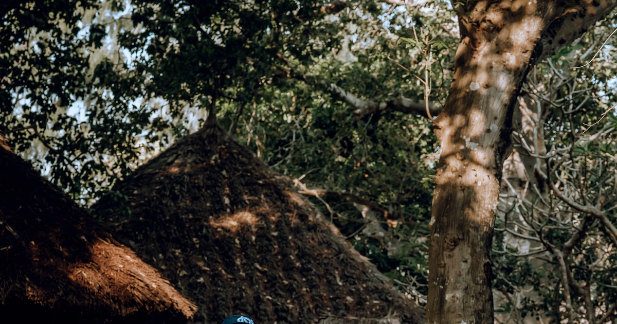Zanzibar: Prison Island tour | GetYourGuide