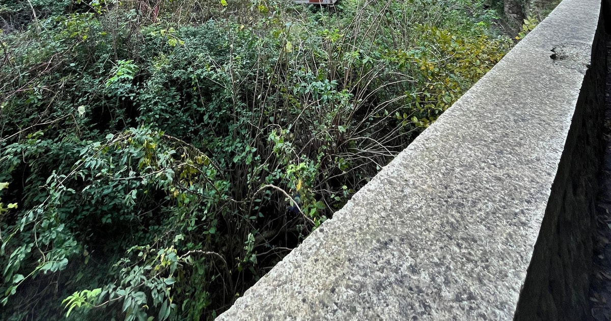 Degustación de Gragnano: ¡un recorrido exclusivo por la Cuna de la ...