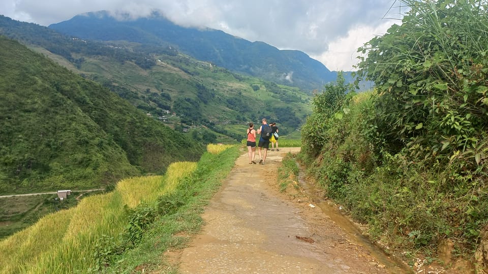 Indigo Snail Trekking Sapa | GetYourGuide