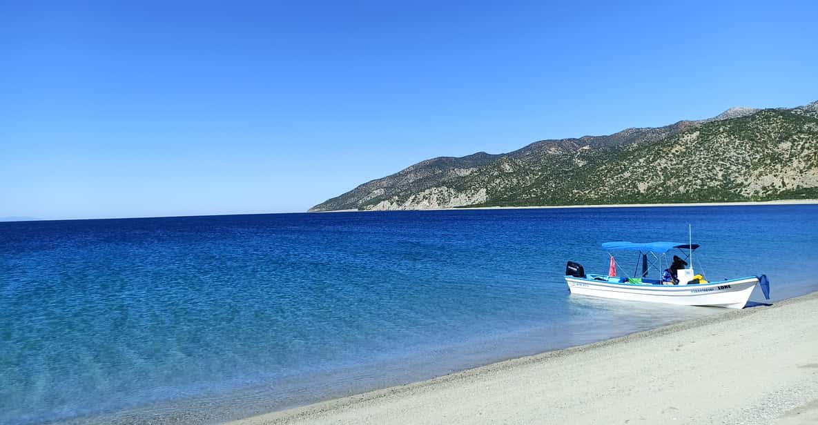 La Ventana: Scuba Divind Certified Divers Group Of 2 | GetYourGuide