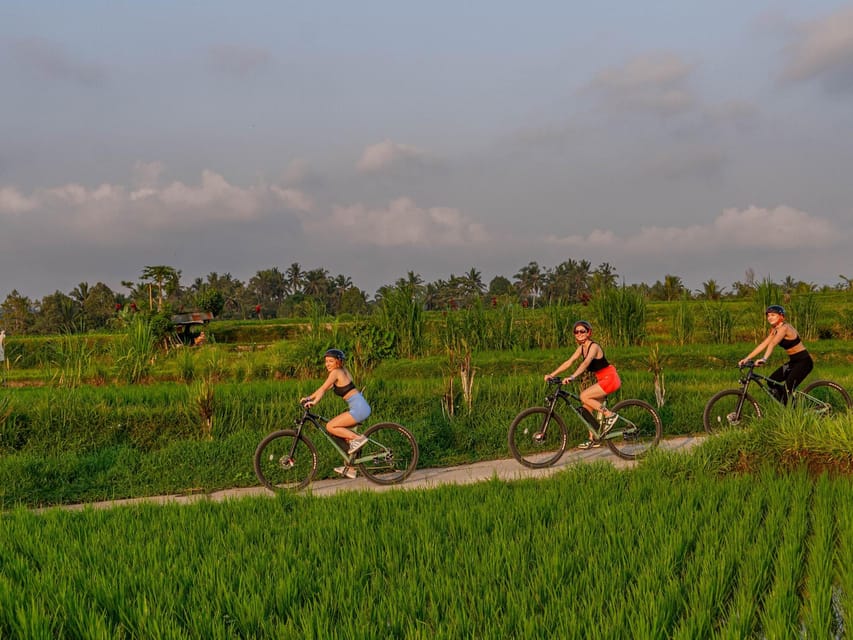 Ubud Bike With Waterfall & Butterfly Park Options | GetYourGuide