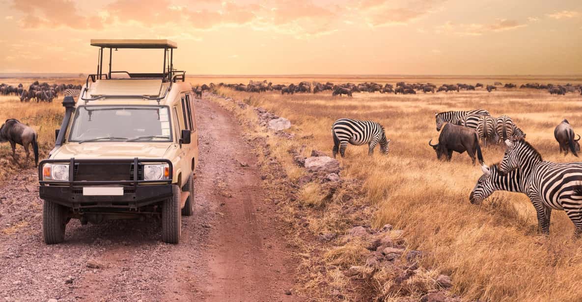 3-Day Fly in & Out Zanzibar to Serengeti Premium Safari | GetYourGuide