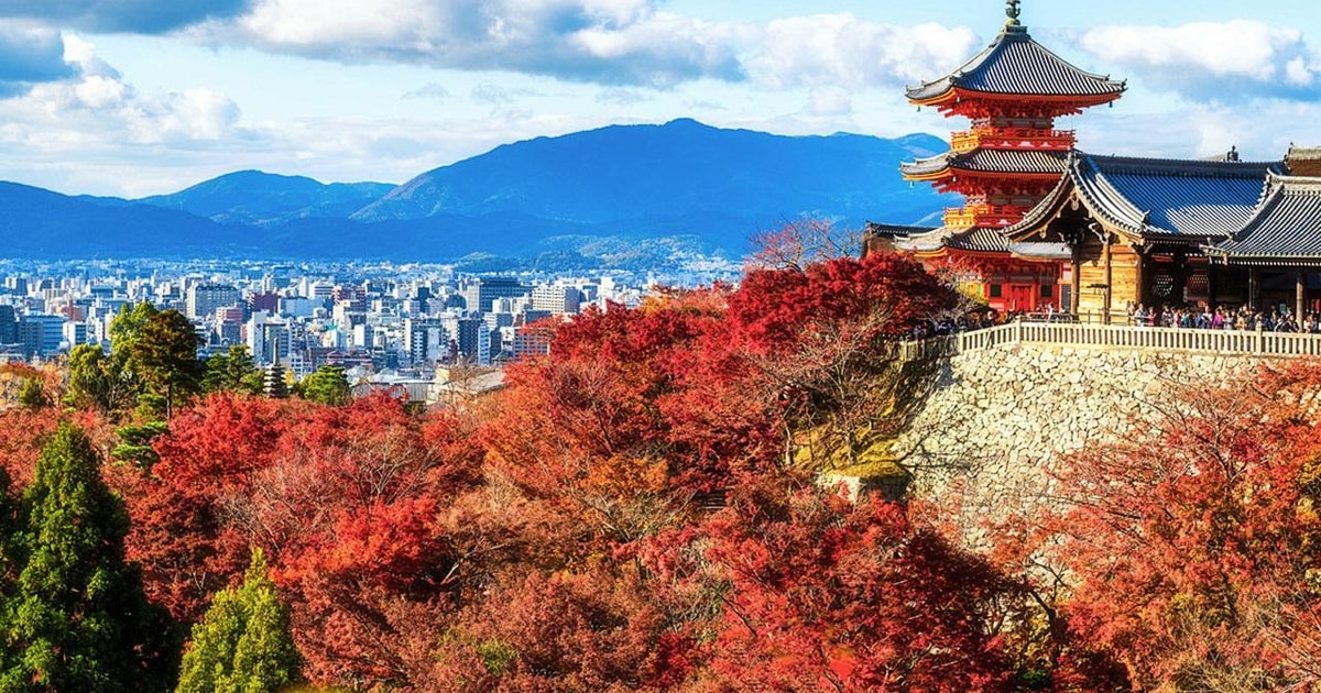 Tokio: Tour privado personalizable de 10 horas con traslado al hotel ...