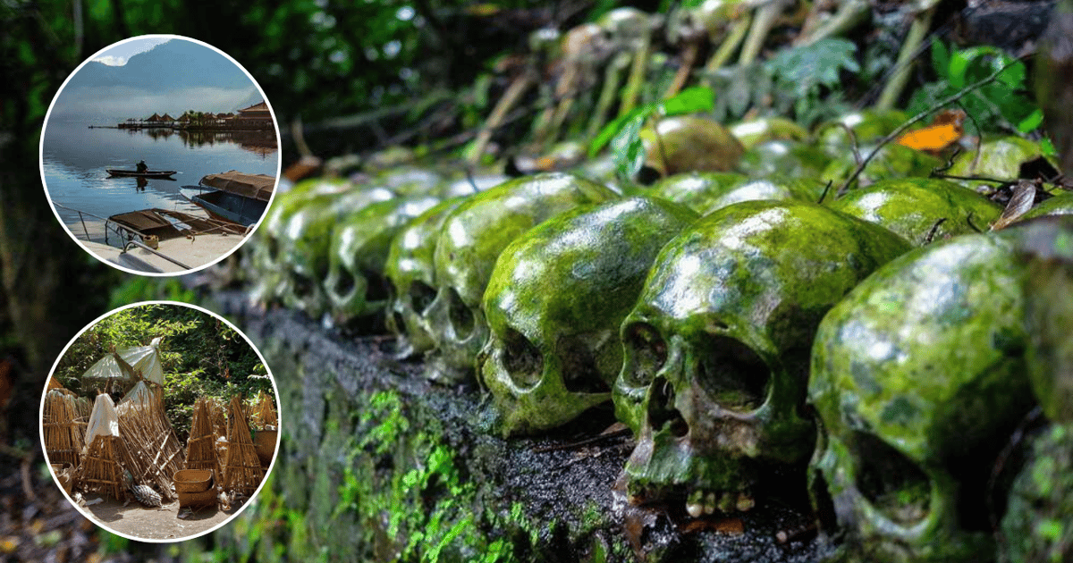 Volcano Enchanted Sunrise Cafe Tour Highlights | GetYourGuide