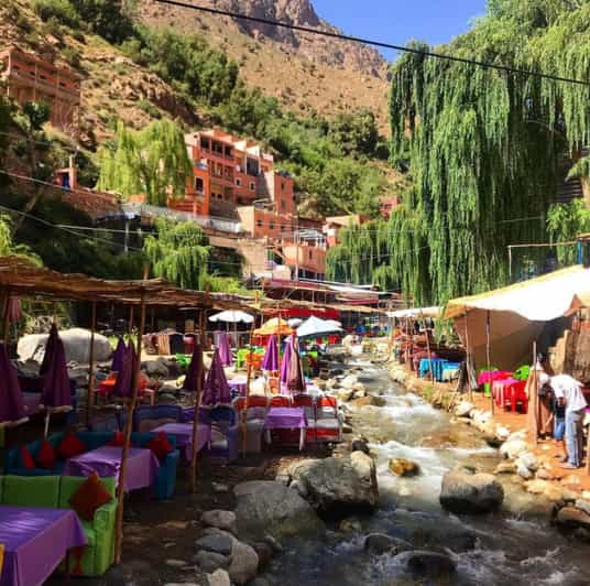 Marrakech's Vibrant Meydene Journey | GetYourGuide