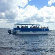 From Panama City, FL: Shell Island Ferry | GetYourGuide