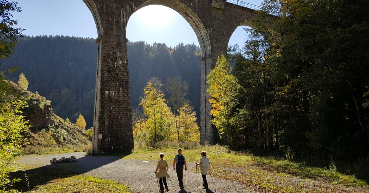 黒い森：ラヴェンナ渓谷のハイキング（ガイドなし） | GetYourGuide