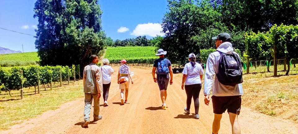 Wine Walk | GetYourGuide