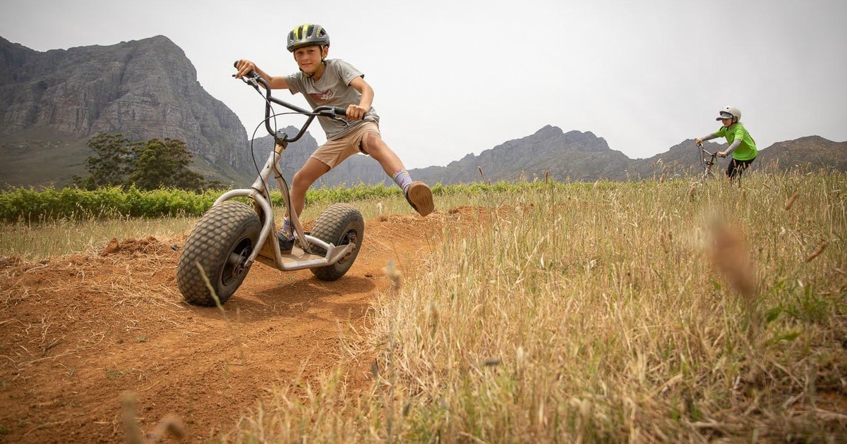 Stellenbosch Winelands downhill gravity Scooter | GetYourGuide