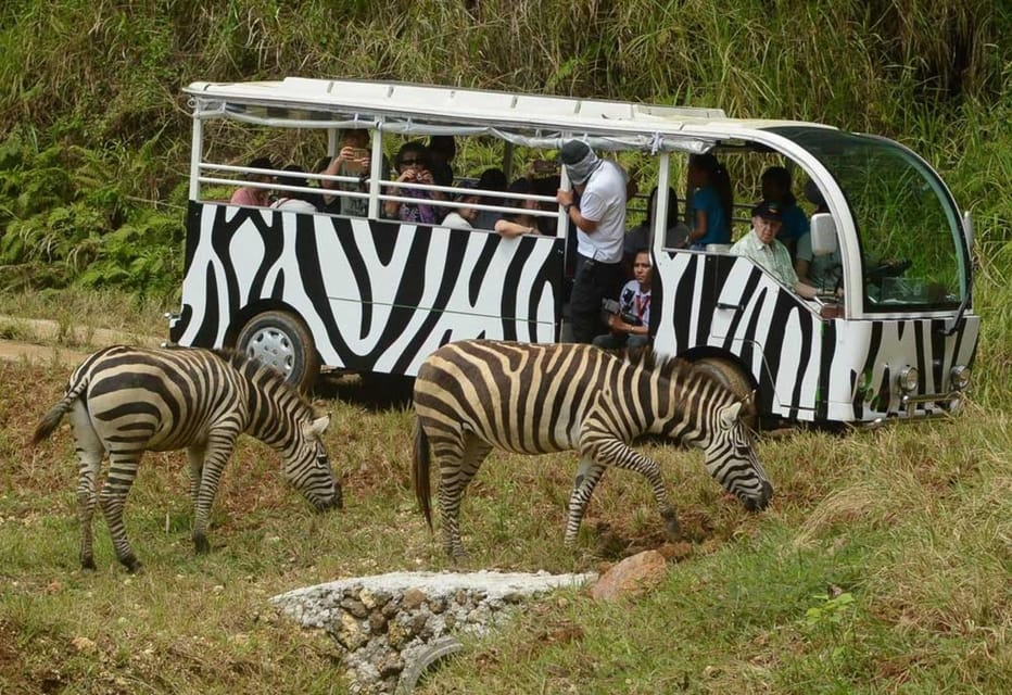 Cebu:Cebu Safari Adventure Park Day Trip | GetYourGuide