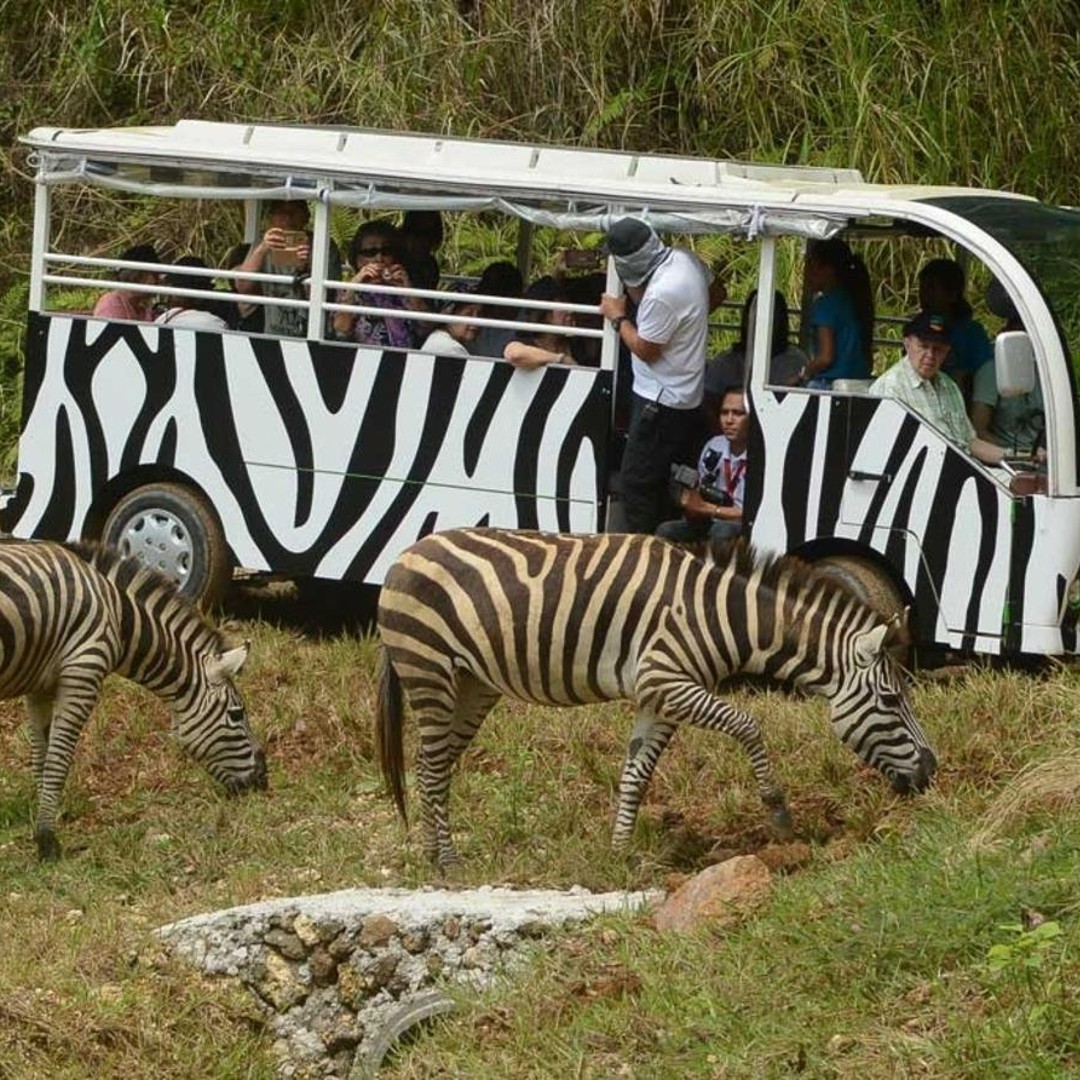 Cebu:Cebu Safari Adventure Park Day Trip | GetYourGuide