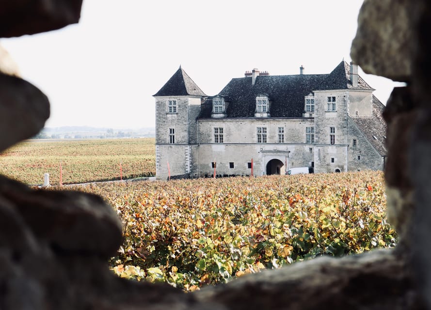 Côte de Beaune and Côte de Nuits : Private Full day Winetour | GetYourGuide
