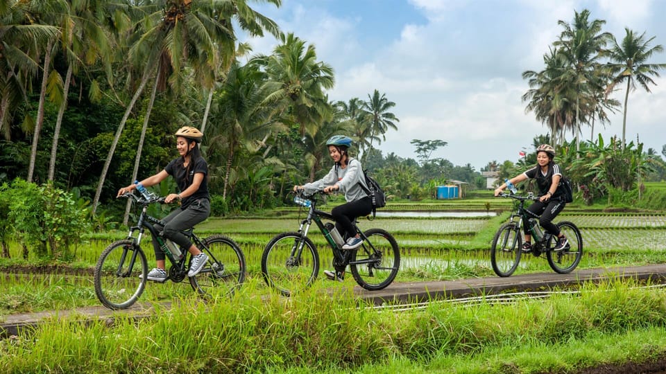 Bali: Ubud terase de orez, temple și vulcan Excursie de o zi în Ubud ...